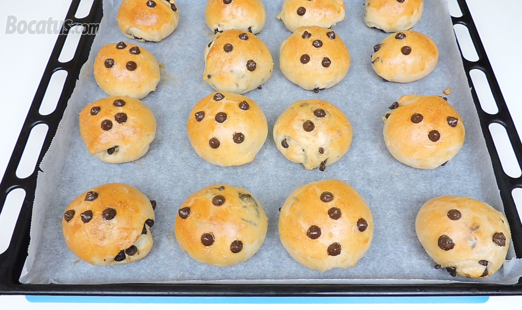 Bollos de leche con pepitas de chocolate: Weikis o Doowaps caseros – Bocatus