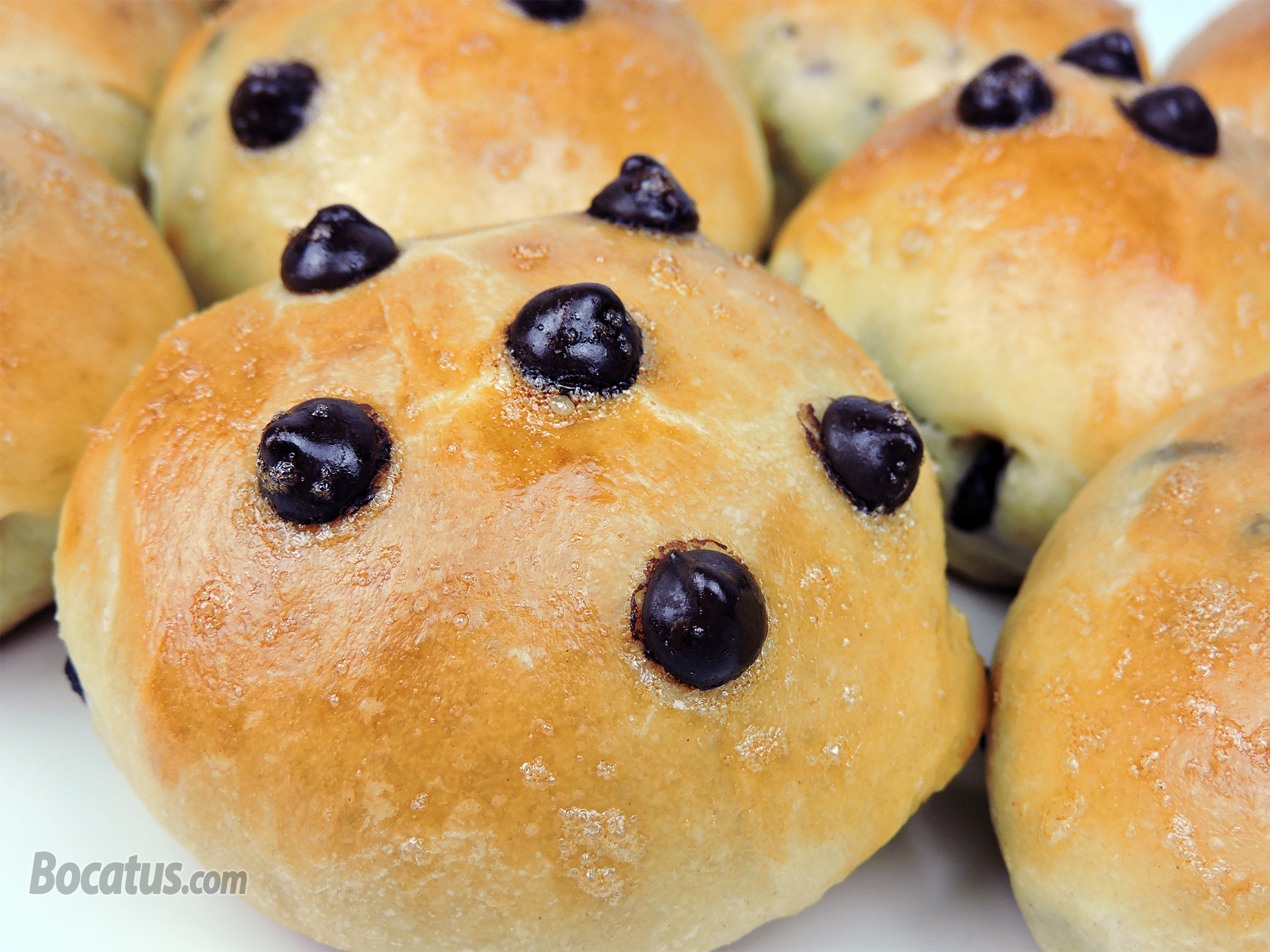 Bollos de leche con pepitas de chocolate: Weikis o Doowaps caseros – Bocatus