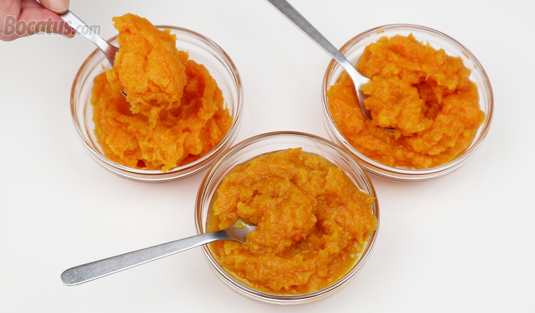 Puré de calabaza para recetas dulces – Bocatus